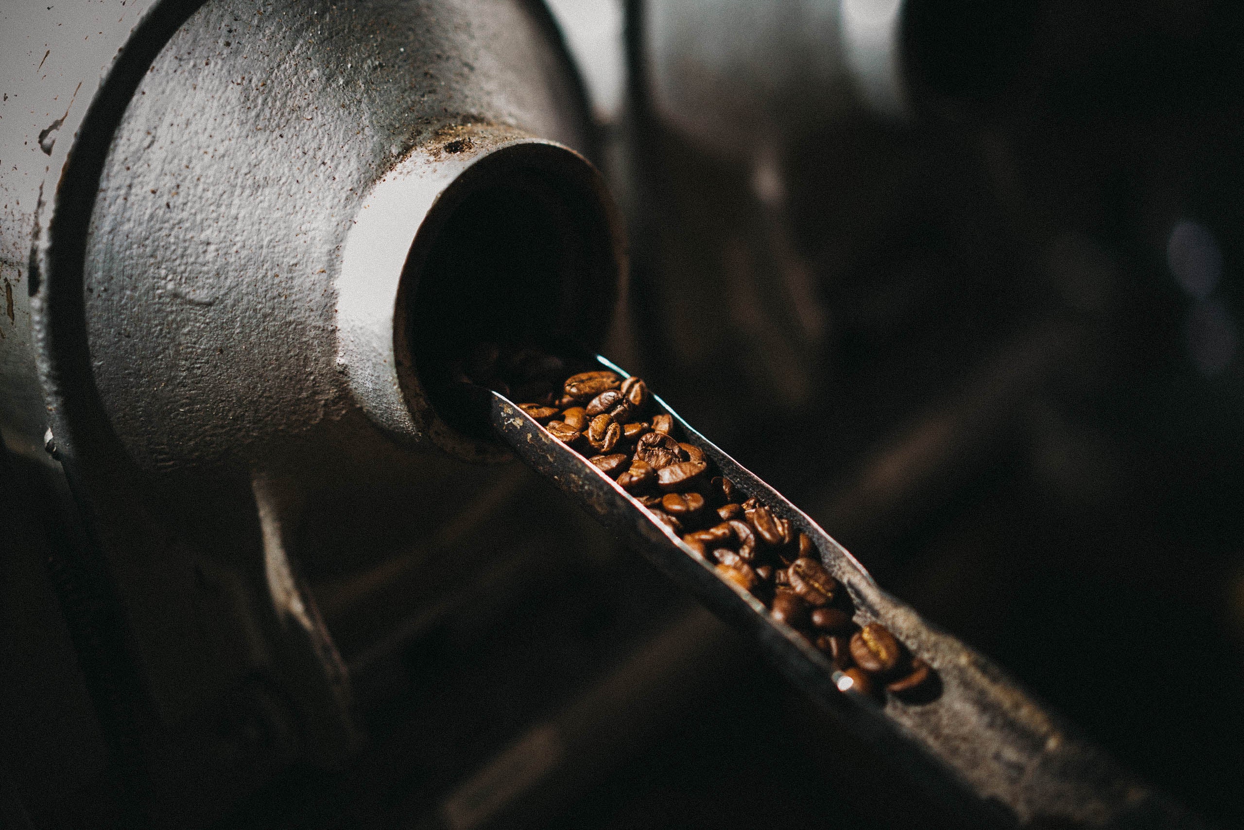 Welcome to Café Britt: Your Gateway to Costa Rican Gourmet Coffee