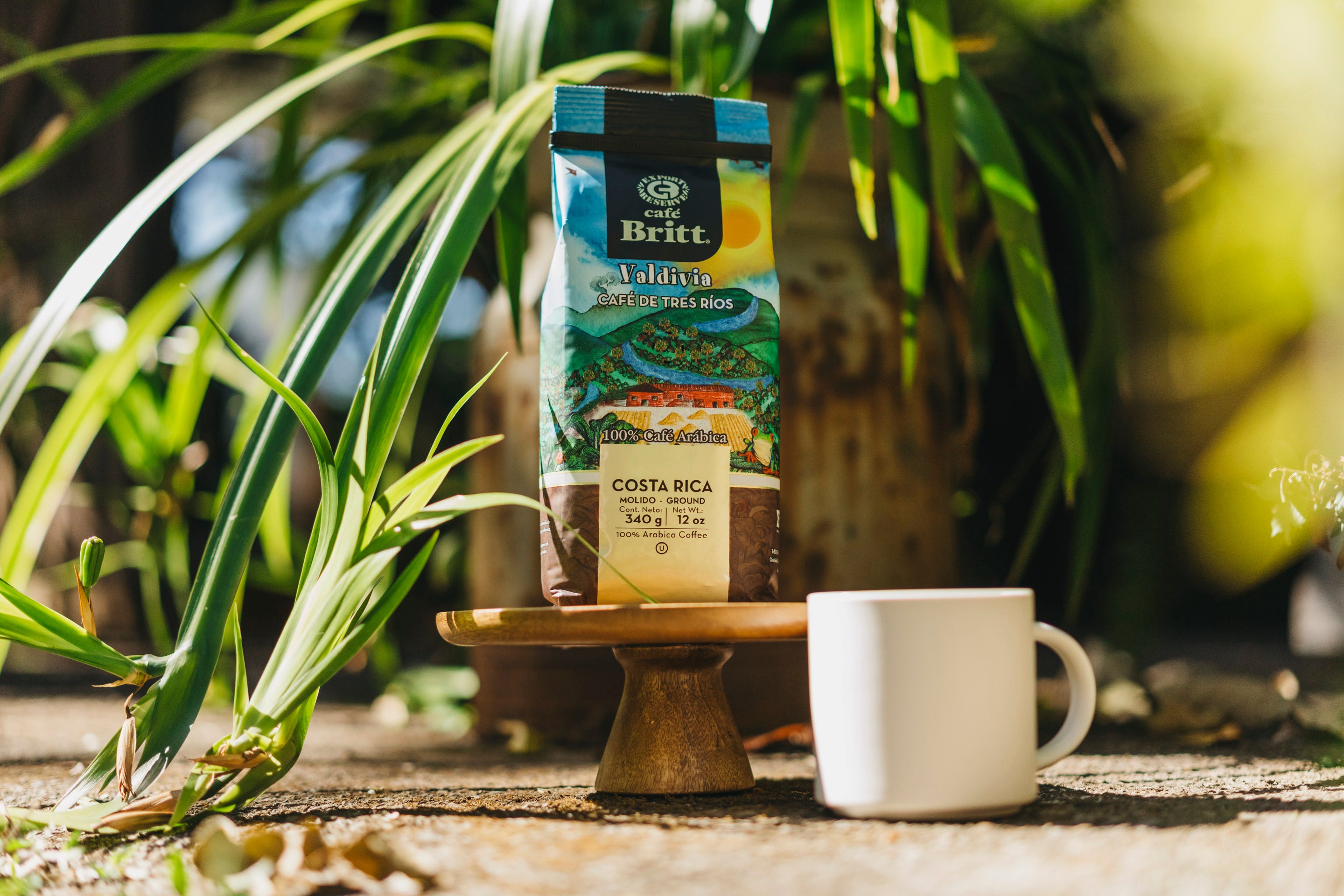 Welcome to Café Britt: Your Gateway to Costa Rican Gourmet Coffee