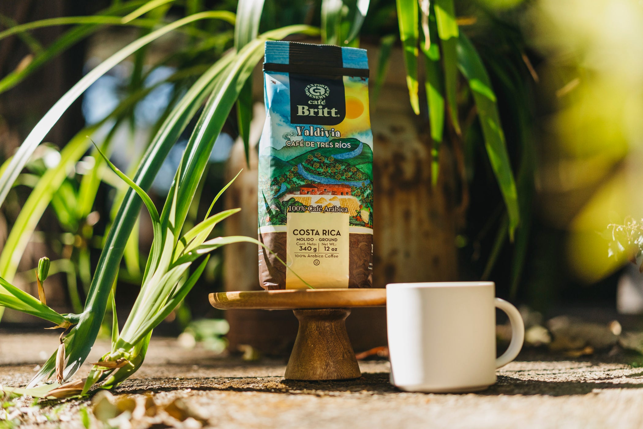 Welcome to Café Britt: Your Gateway to Costa Rican Gourmet Coffee