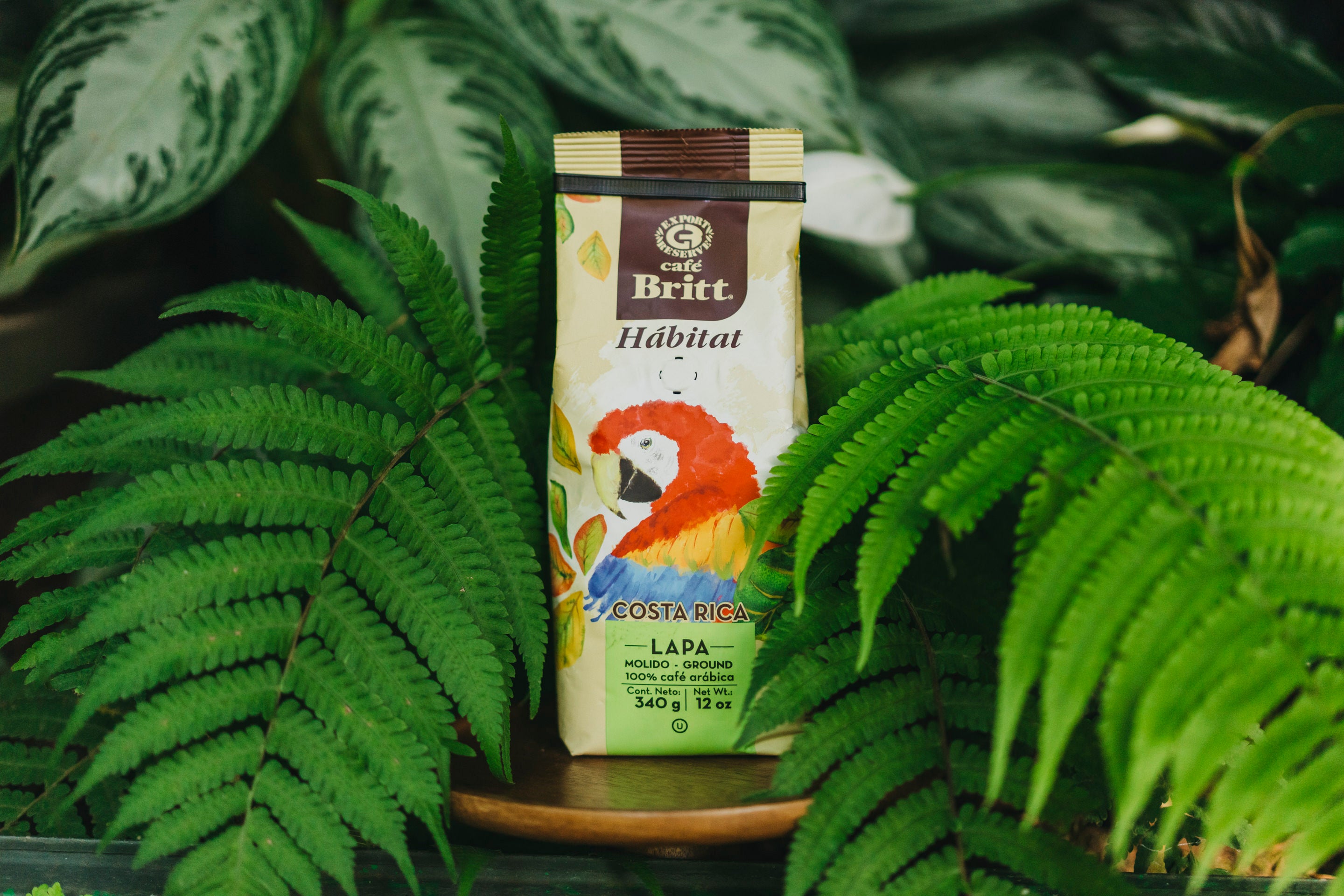 Bienvenido a Café Britt: su puerta de entrada a las delicias gourmet ...