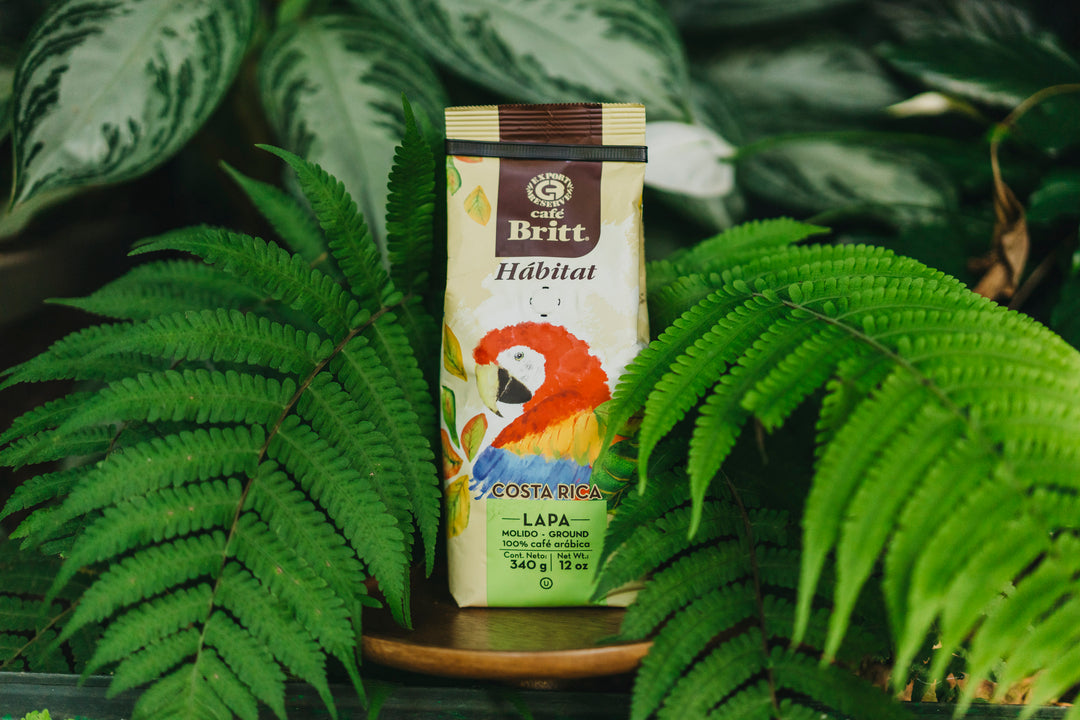Bienvenido a Café Britt: su puerta de entrada a las delicias gourmet ...