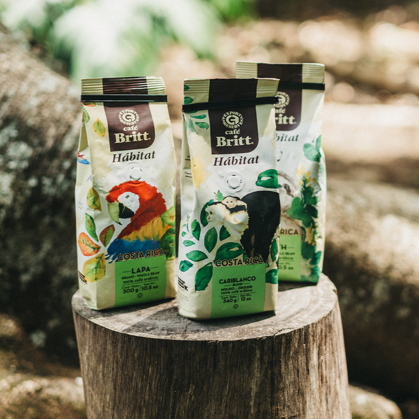 Welcome to Café Britt: Your Gateway to Costa Rican Gourmet Coffee