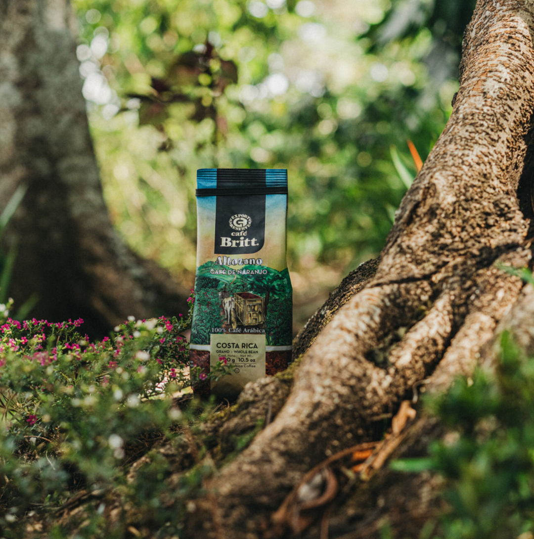 Welcome to Café Britt: Your Gateway to Costa Rican Gourmet Coffee