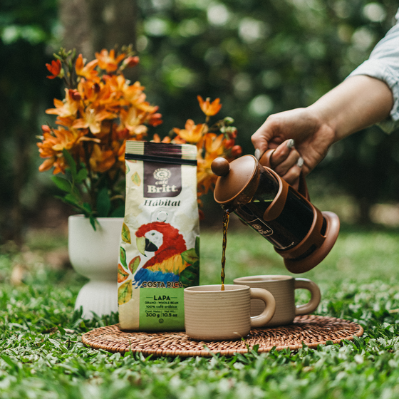 Welcome to Café Britt: Your Gateway to Costa Rican Gourmet Coffee