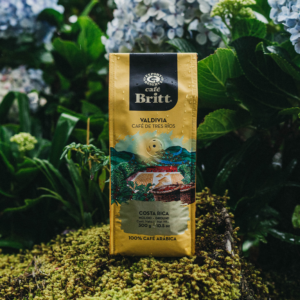 Welcome to Café Britt: Your Gateway to Costa Rican Gourmet Coffee